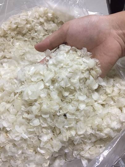 Tilapia_fish_scales | Servicetec Japan Corp.